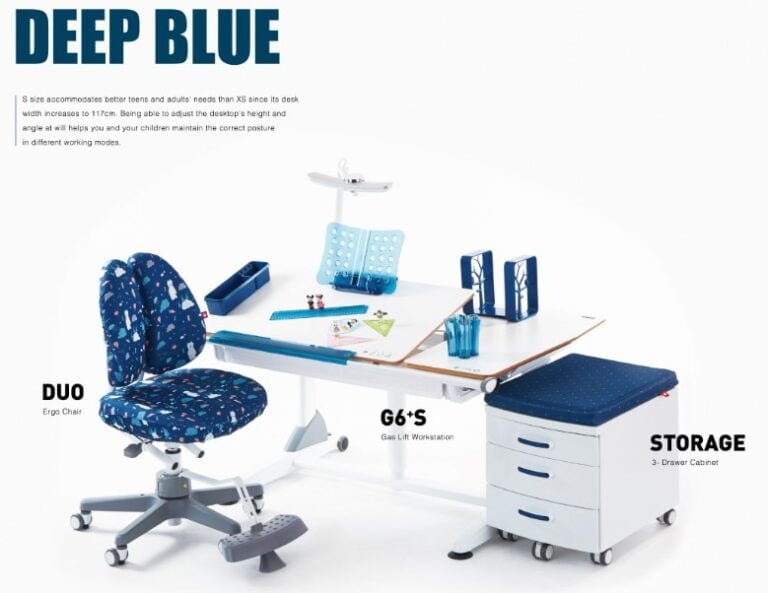 Ghế chống gù DOU