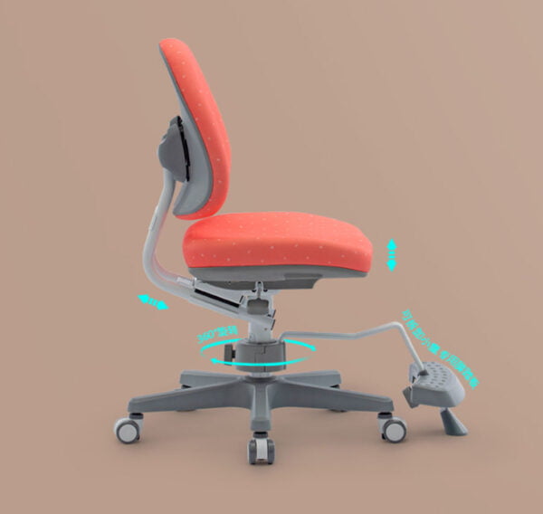 Ghế chống gù DOU