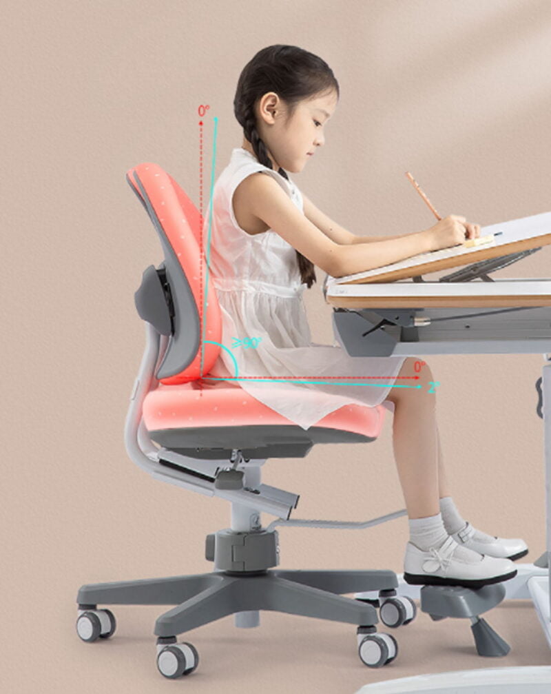 Ghế chống gù DOU